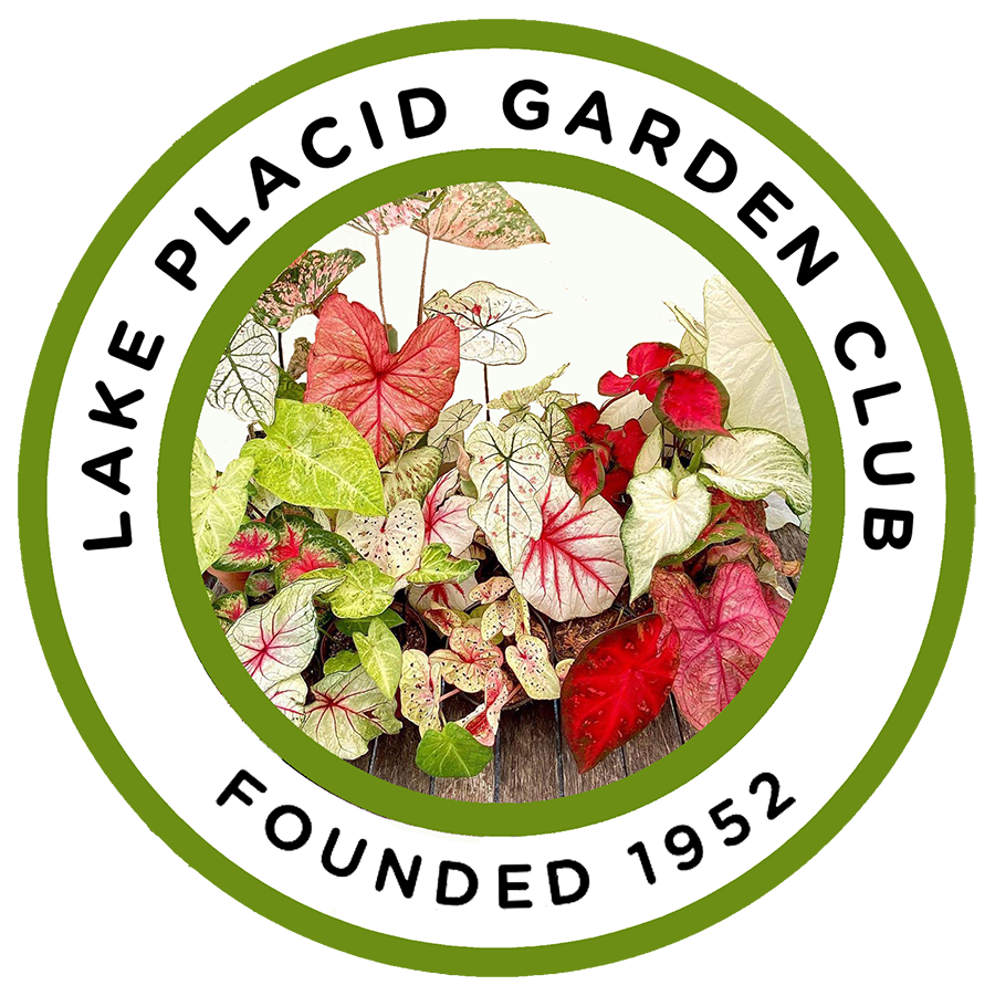 2025-2026 Officer & Committee Forms – Lake Placid Garden Club